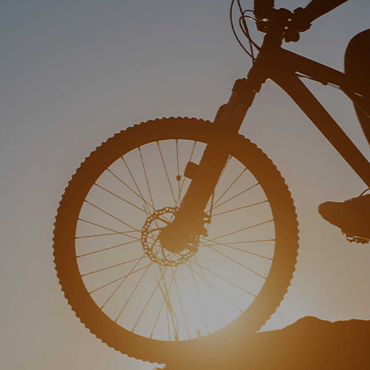 Cycle Wheels USA
